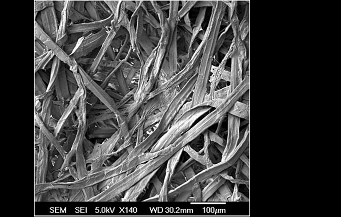 11-micro-ct-sem-fiber-paper-01 | Micro Photonics