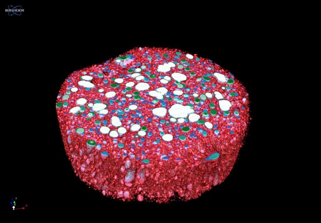 Micro-CT of Miniature Fruitcake | Micro Photonics