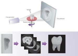 What is Micro-CT? An Introduction | Micro Photonics