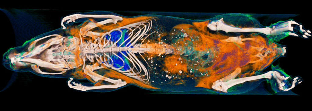 SkyScan 1278 | Micro Photonics