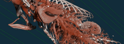 QCM-D | Micro Photonics